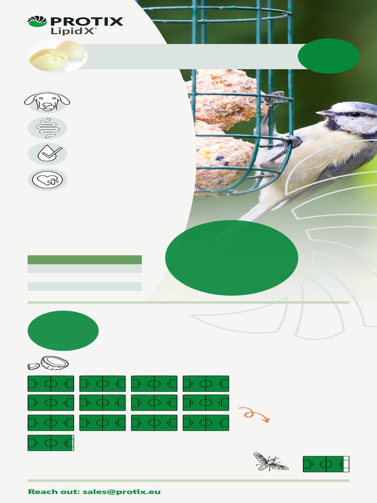 Protix LipidX Infosheet-Pet-Food | PDF