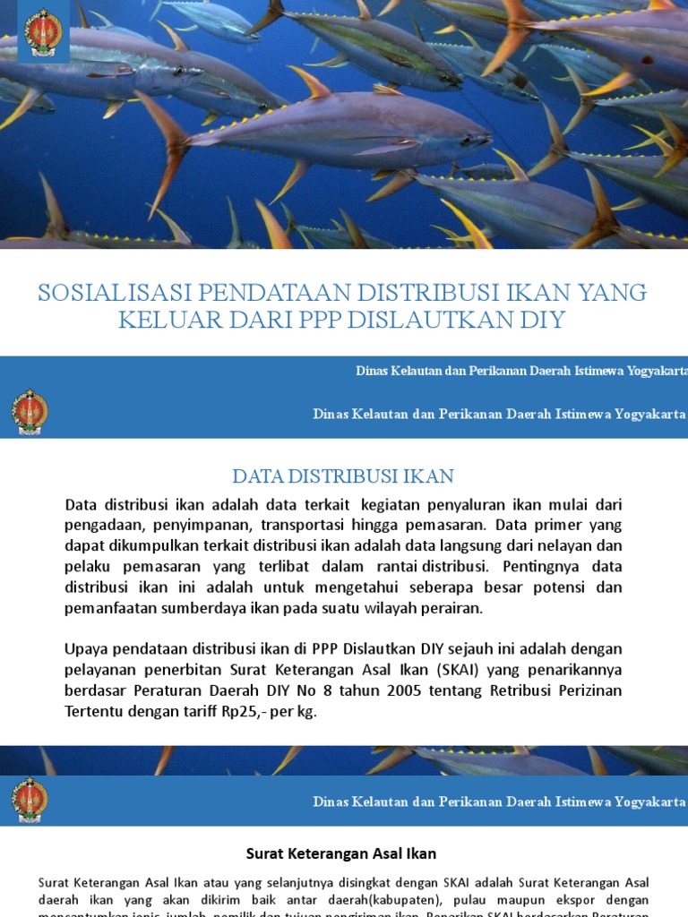 Pendataan Distribusi Ikan DIY | PDF