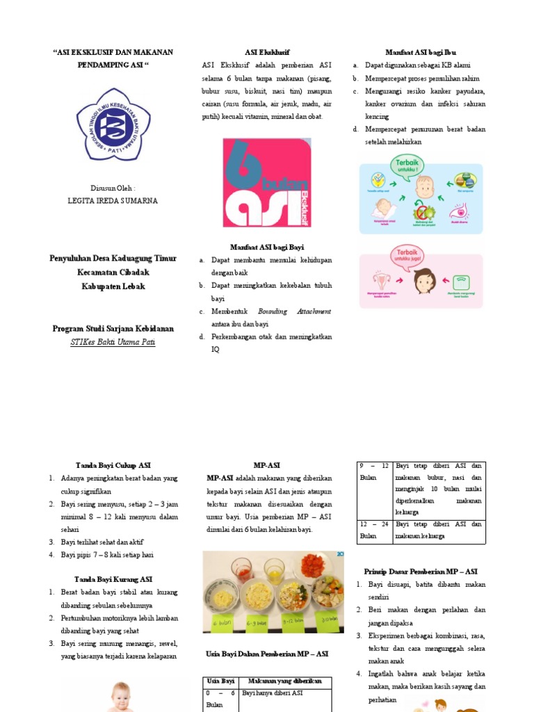 Leaflet Asi Eksklusif Dan Mpasi Legita | PDF