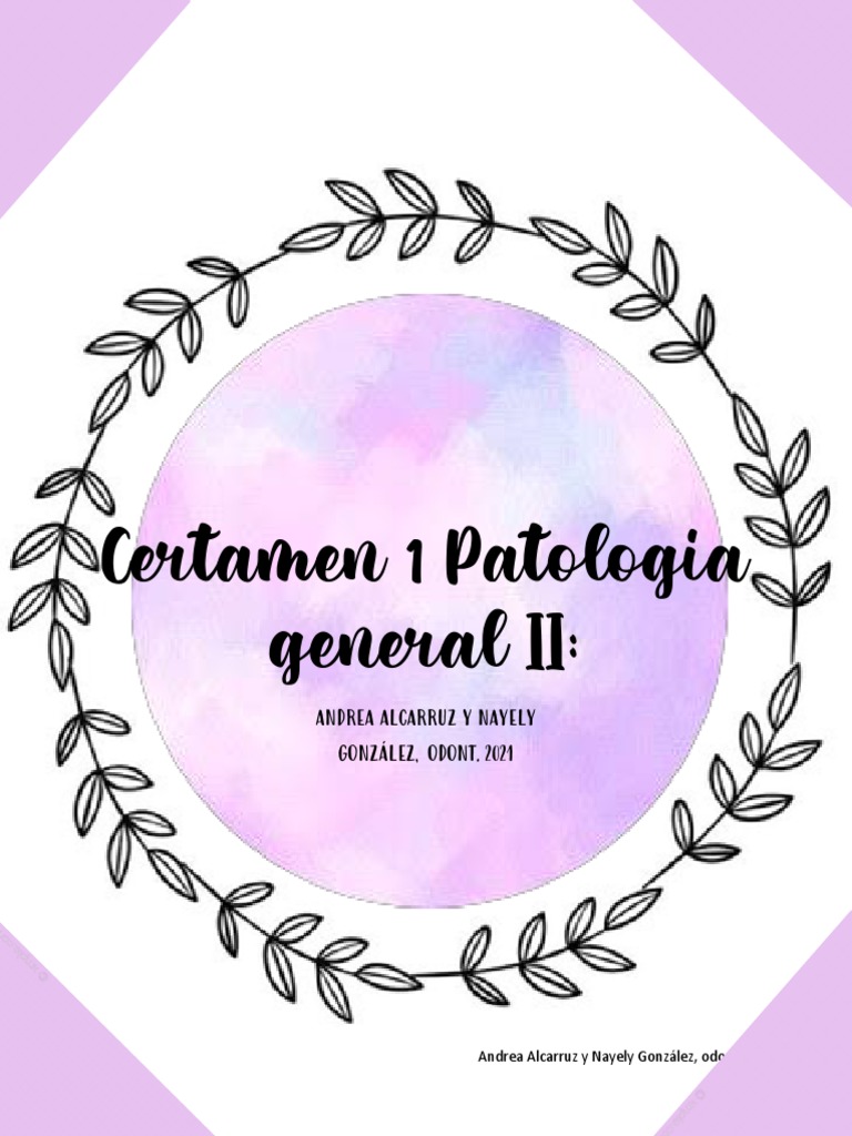 Certamen Pato 1 COMPLETO | PDF