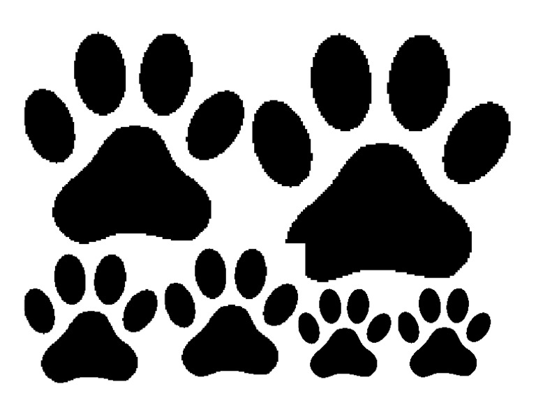 paw | PDF