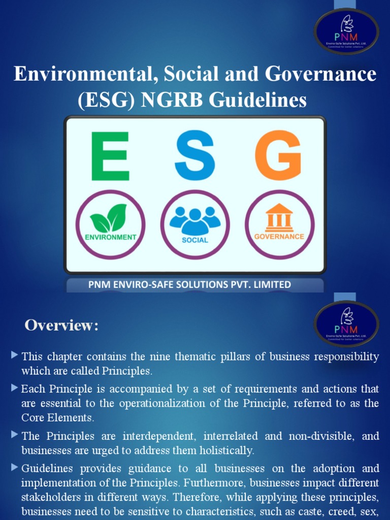 ESG Guidelines for Business Responsibility | PDF | Business