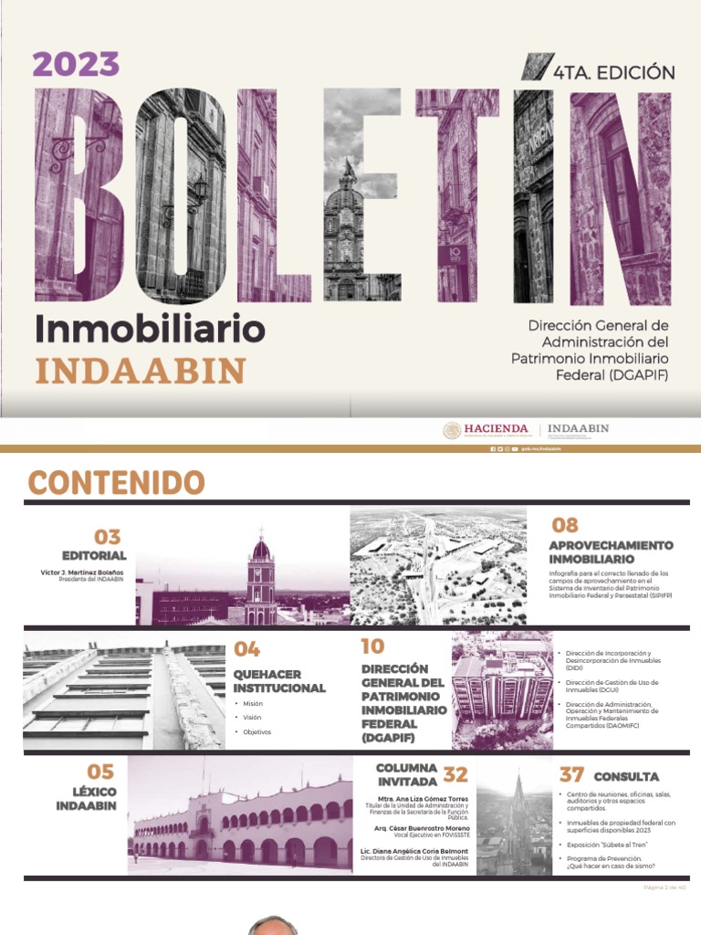 Bolet N Inmobiliario INDAABIN Baja Calidad Cuarta Edici N Bimestral ...