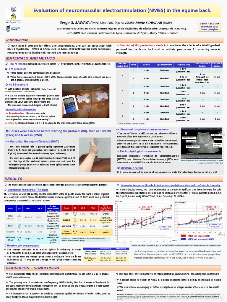 Poster - ENMS For The Horse Back - Sawaya - Schwaab - Vepra-ECVSMR ...