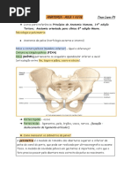 Pelve e Períneo | PDF | Pélvis | Anatomia