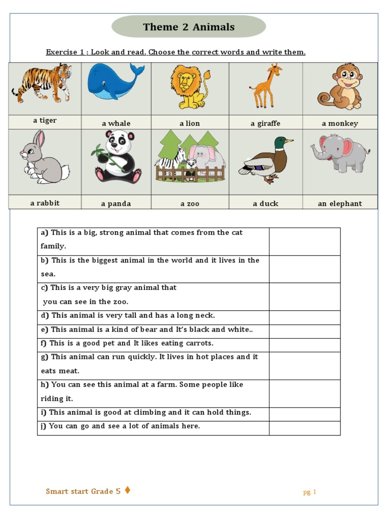 Animal Exercises for Grade 5 Students | PDF