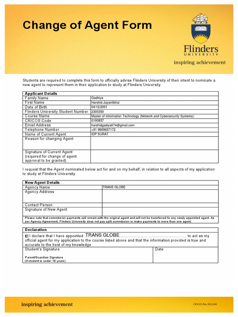 Flinders Change Agent | PDF