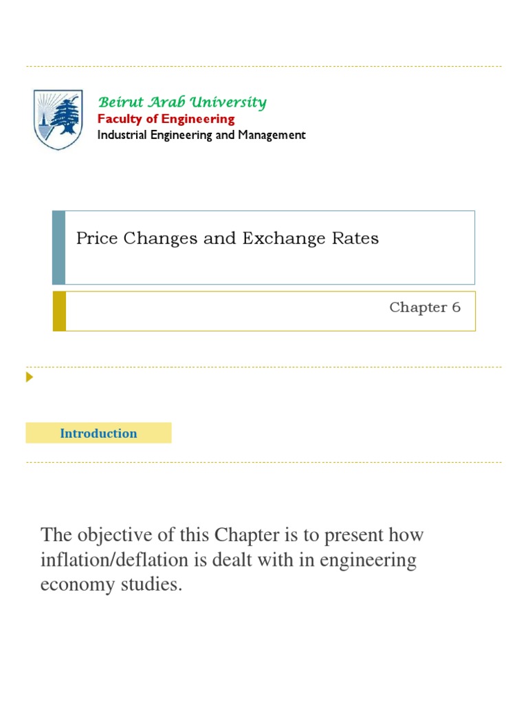 Chapter 6-Price Changes & Inflation | PDF | Inflation | Prices