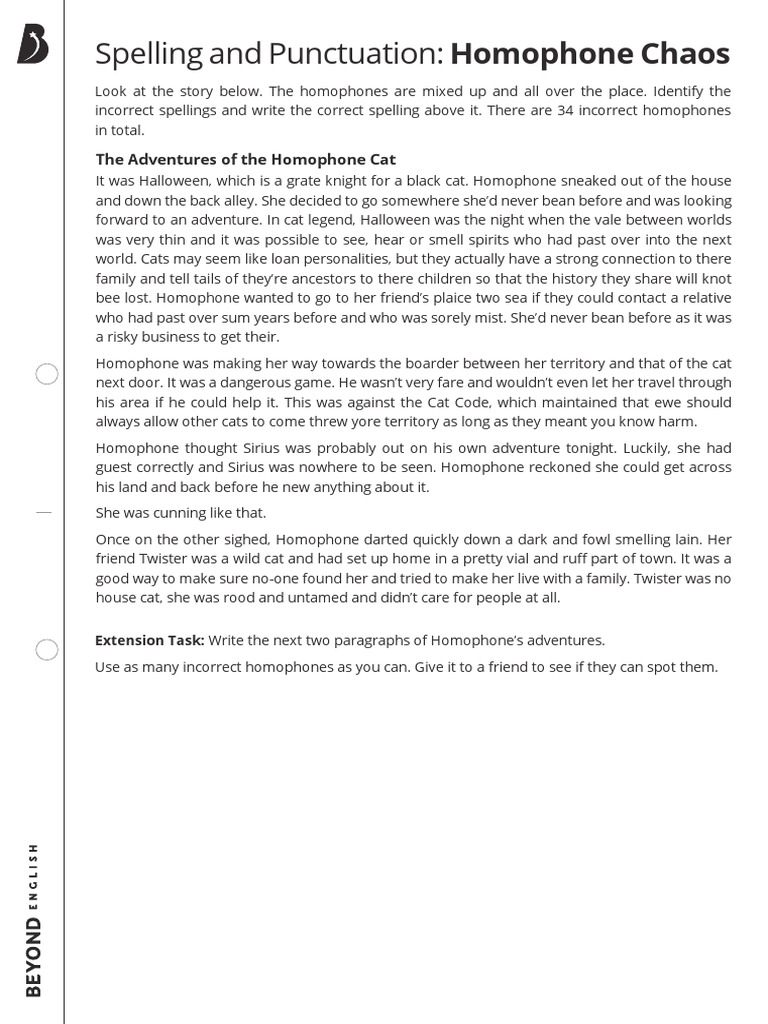 T4 E 108 Spelling and Punctuation Homophone Chaos Activity Sheet - Ver ...