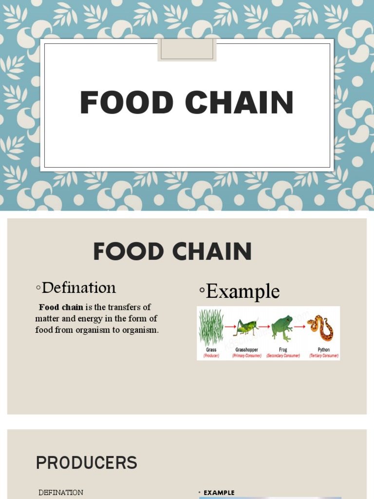 food chain | PDF