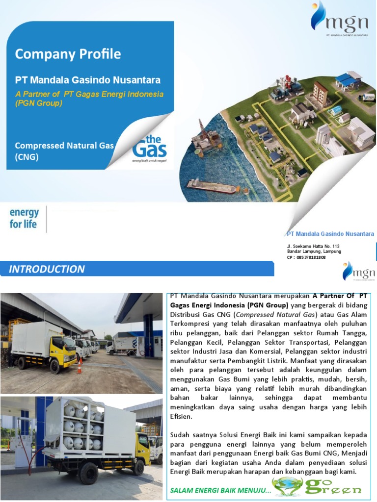 Company Profile MGN 2021 | PDF