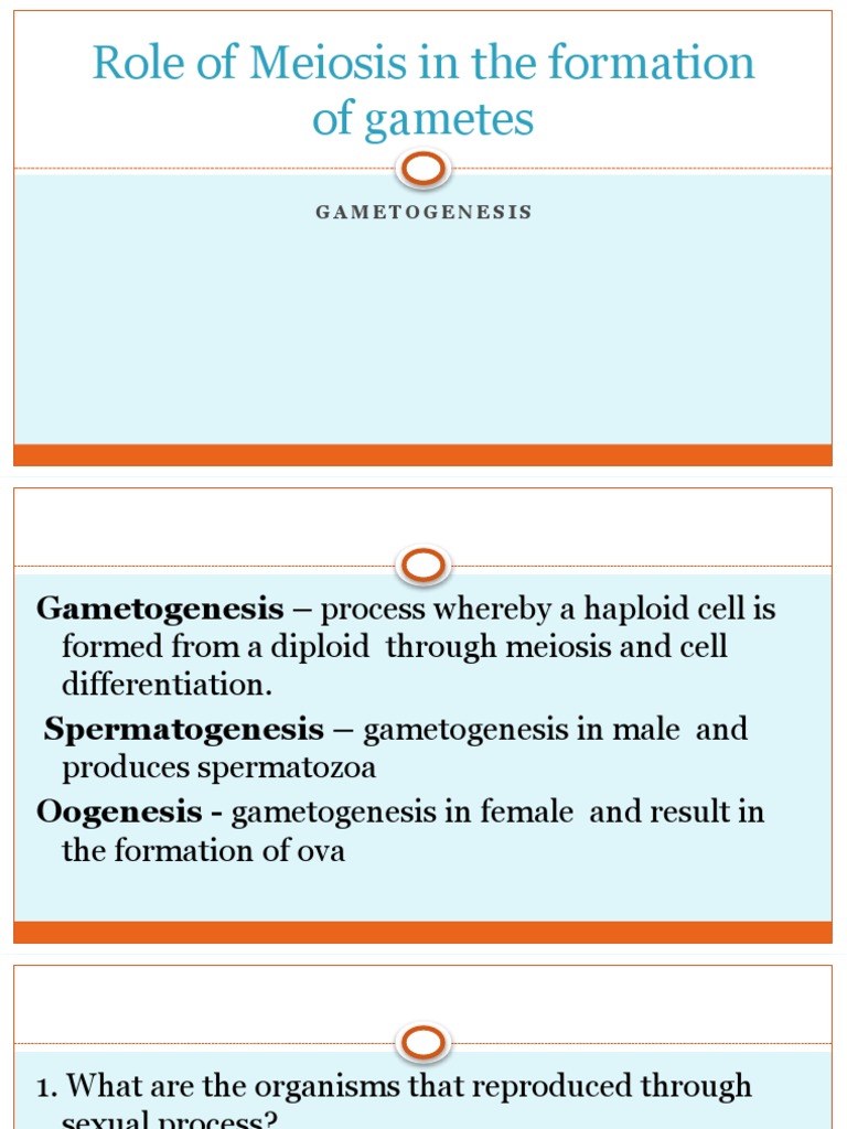 MODULE 3 Part 2 | PDF | Ploidy | Meiosis