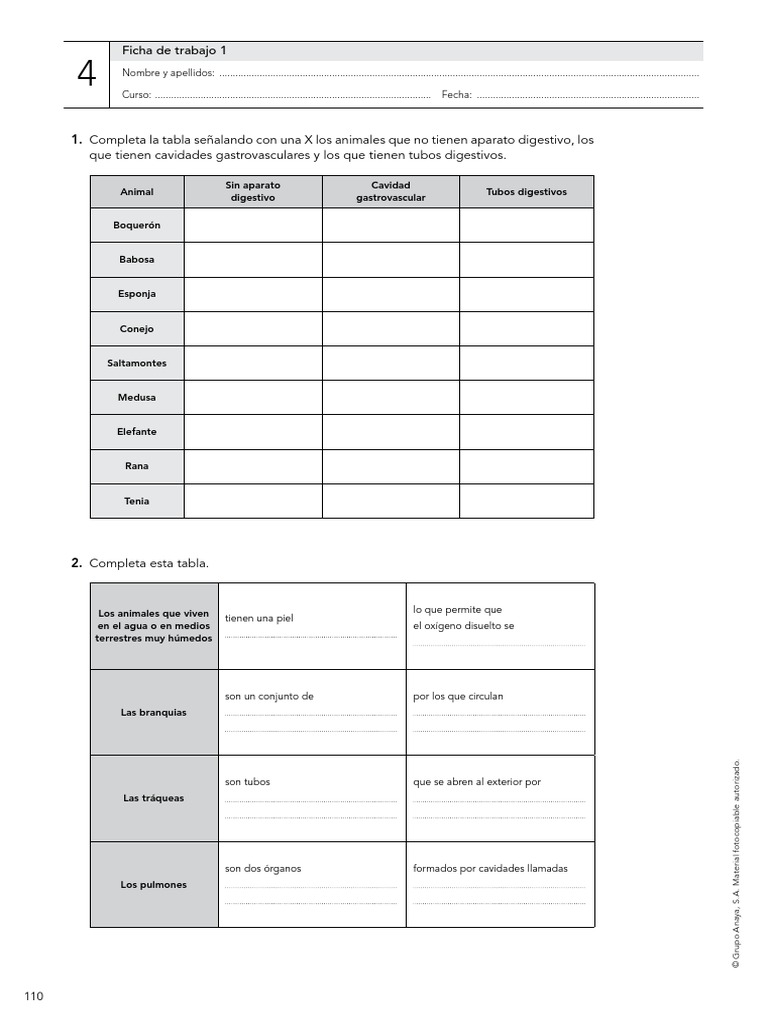 Ficha Repaso Tema 4 | PDF | Reproducción | Sistema circulatorio