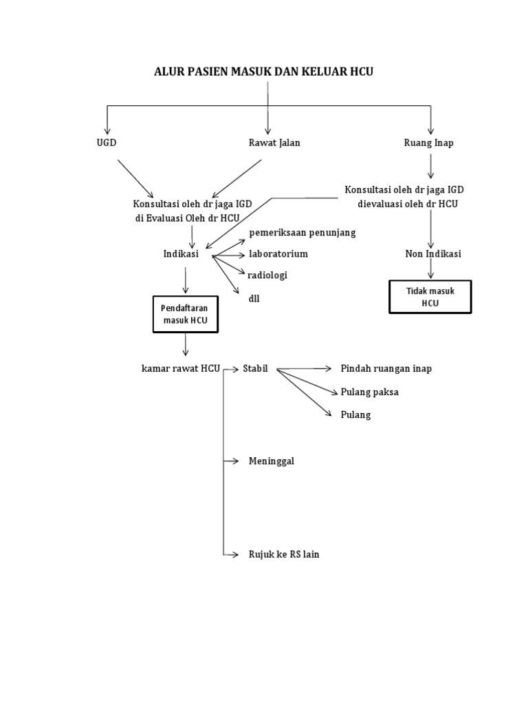 Alur Pasien Masuk Dan Keluar Hcu | PDF