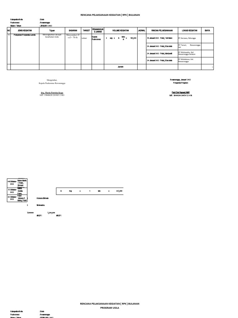 RPK Bulanan Usila | PDF