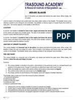 Normal Prostate Size in Dogs | PDF | Prostate | Medical Ultrasound
