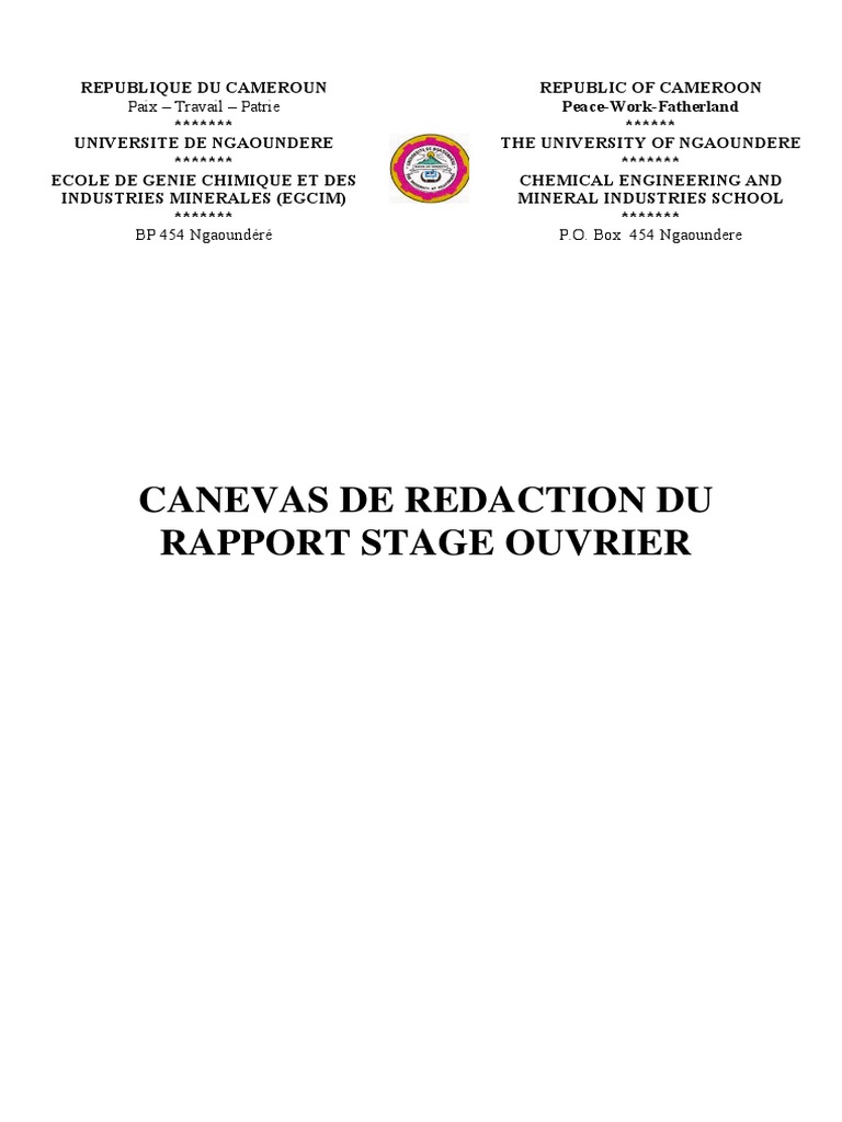 Canevas Rapport Stage Egcim | PDF