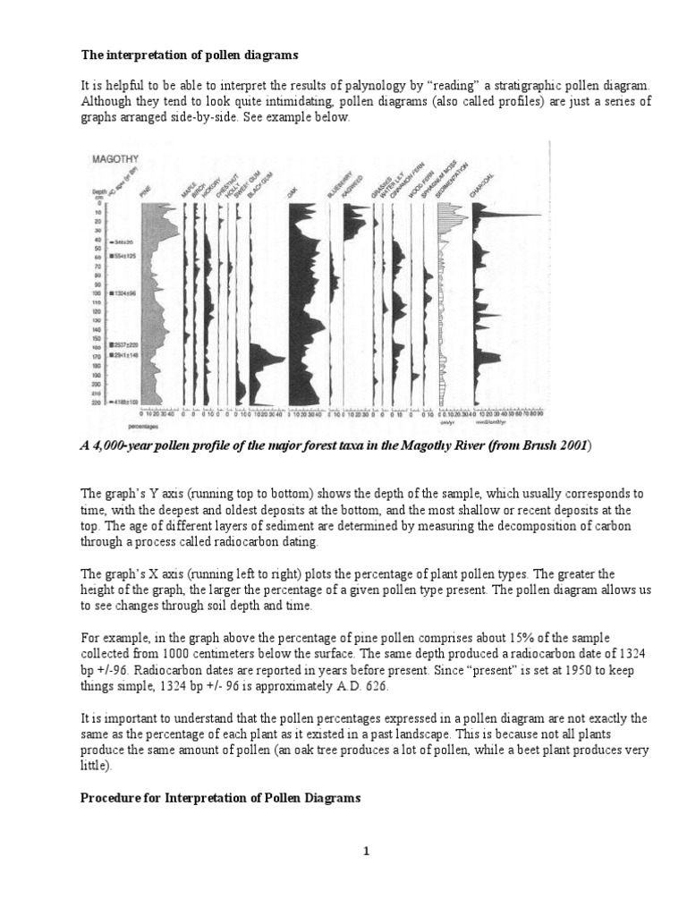 Pollen Interpretation | PDF