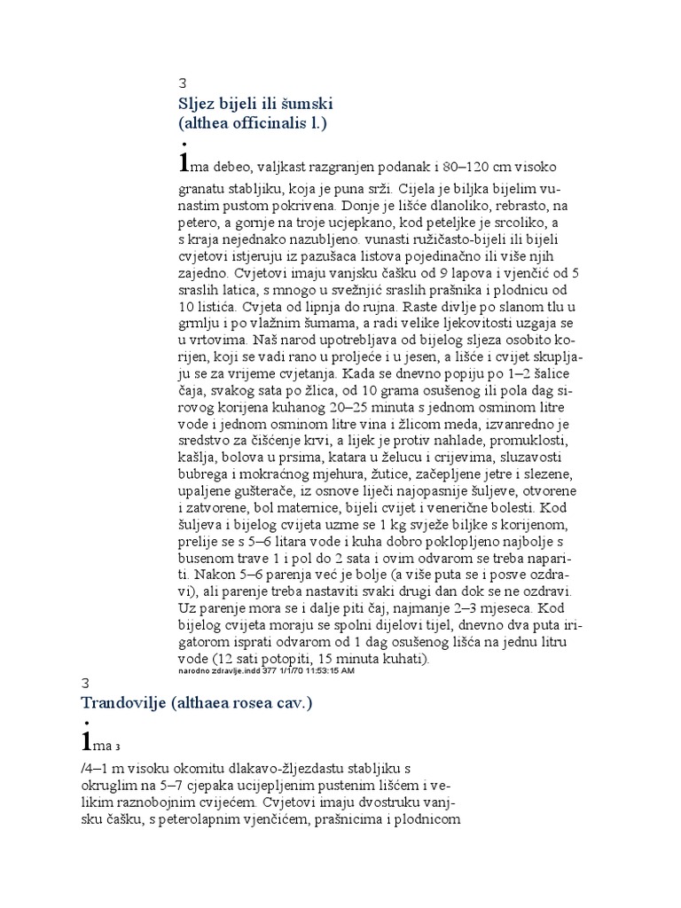 SADIK Isaković | PDF