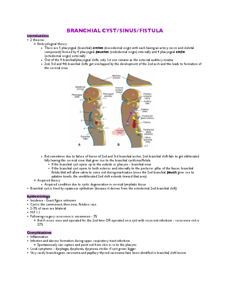 2. Branchial Fistula and Cyst Excision (1) | PDF