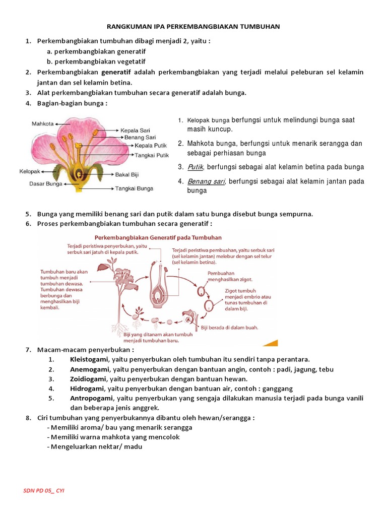 Rangkuman Ipa Perkembangbiakan Tumbuhan | PDF