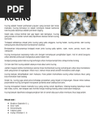 Apa Itu Kucing | PDF