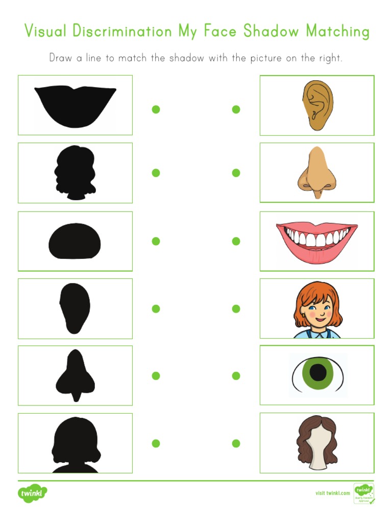 Forehead Shadow Matching Activity | PDF