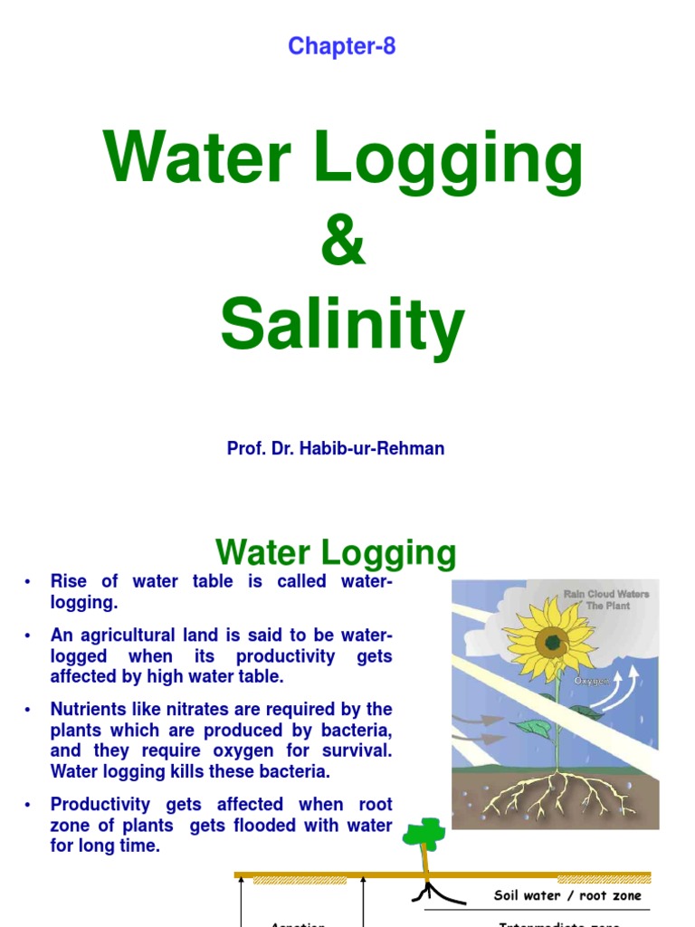 8 Water Logging Salinity | PDF