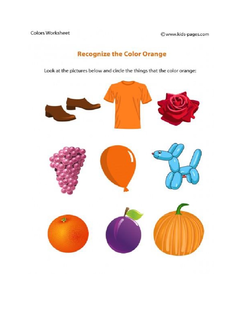 Recognize The ORANGE Colour | PDF