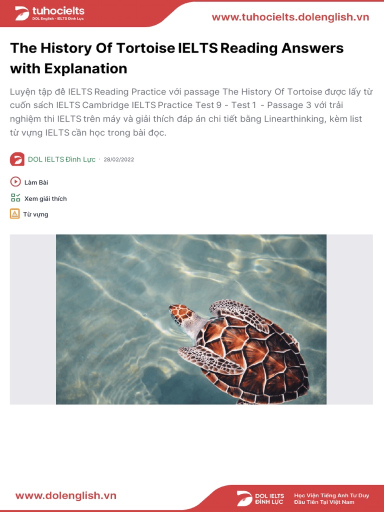 The History of Tortoise | PDF