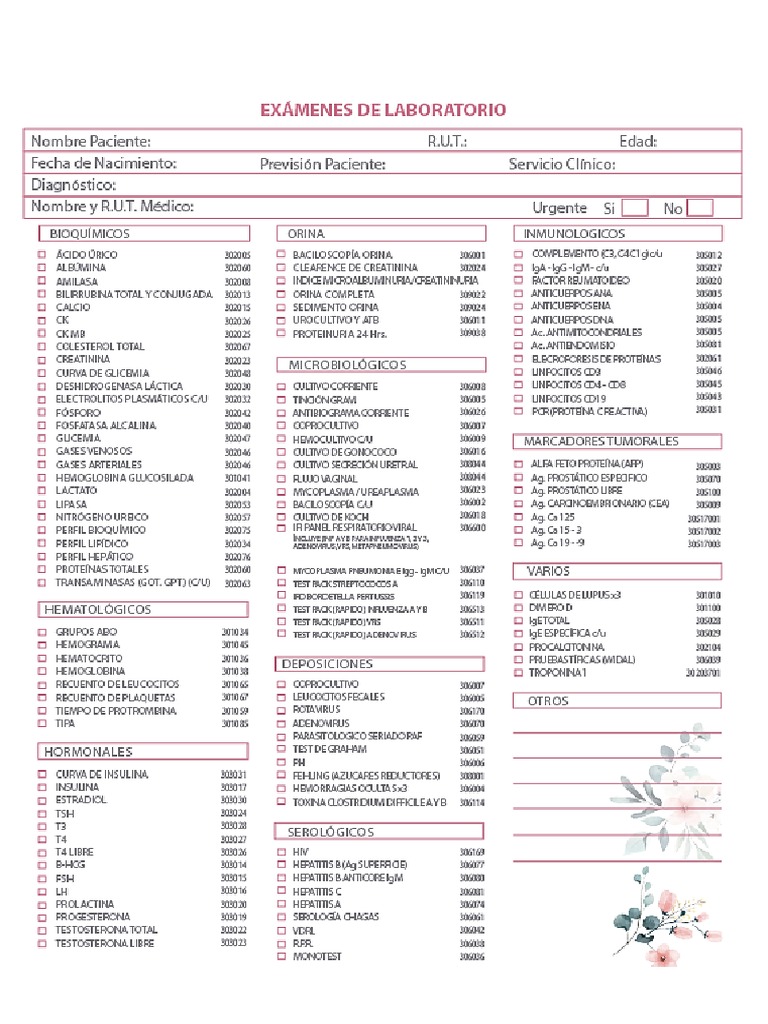Ordenes de Laboratorio Arleth | PDF