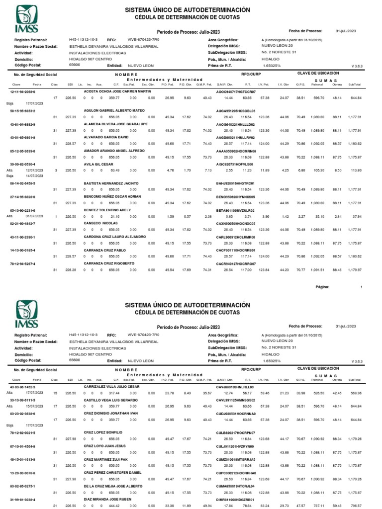 Cédula de Cuotas IMSS Julio 2023 | PDF