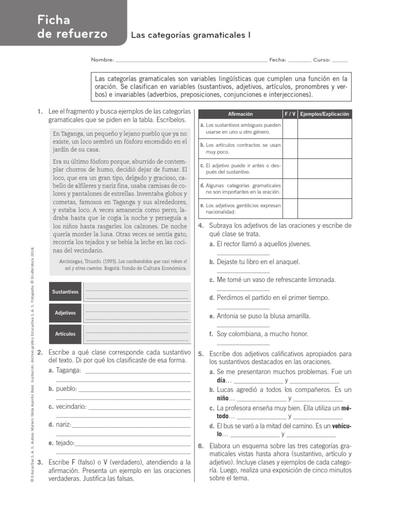 Actividad categorías gramaticales 6° | PDF