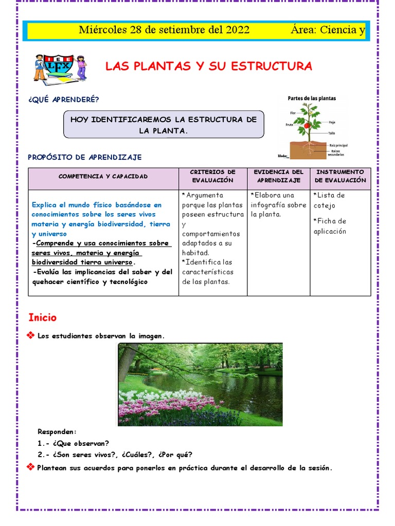 Sesion 2 - Ciencia y Tecnologia - 28 - 09 - 22 Las Plantas y Su ...