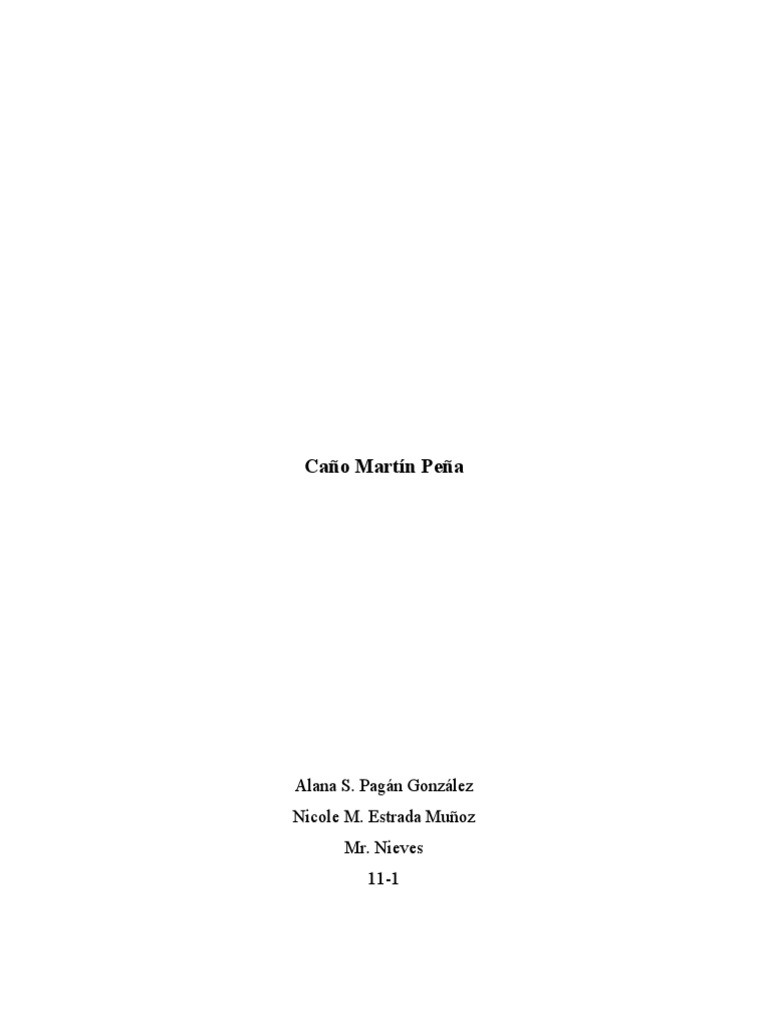 Caño Martin Peña | PDF