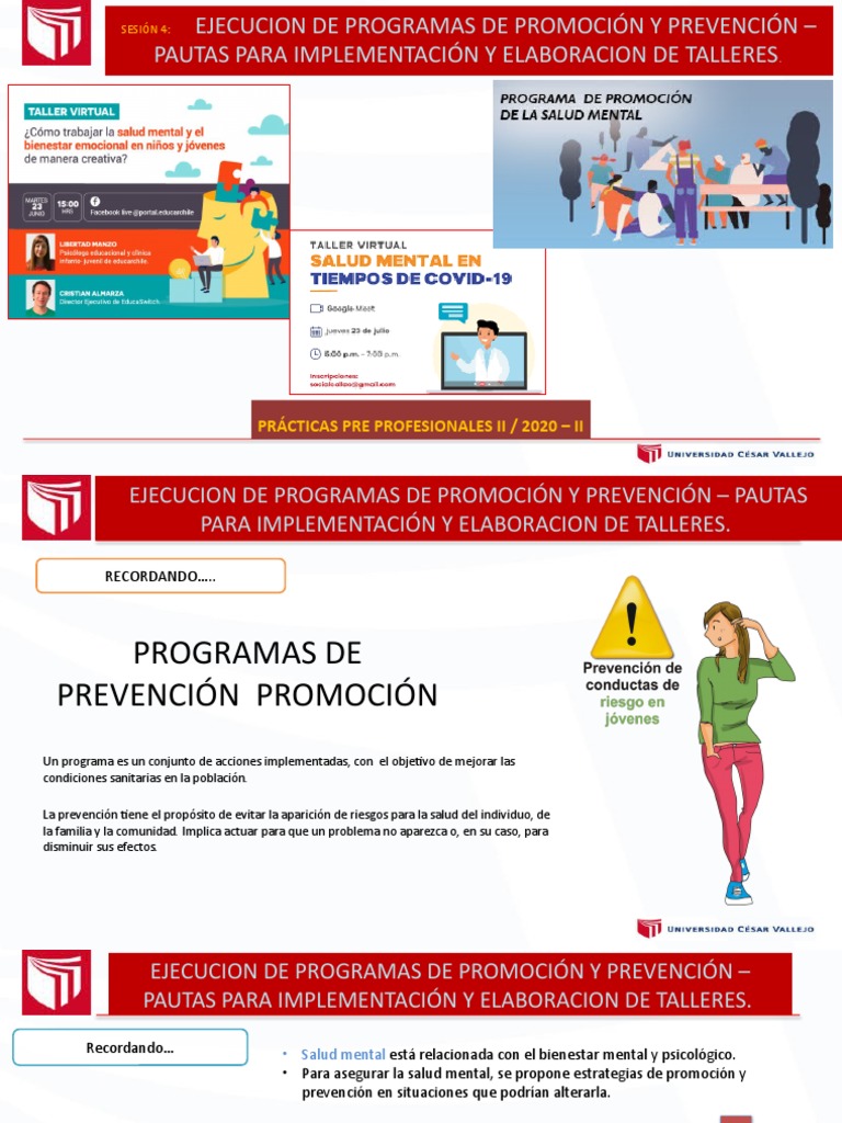 Clase 4 Ejecución de Programas Salud Mental - Talleres | PDF