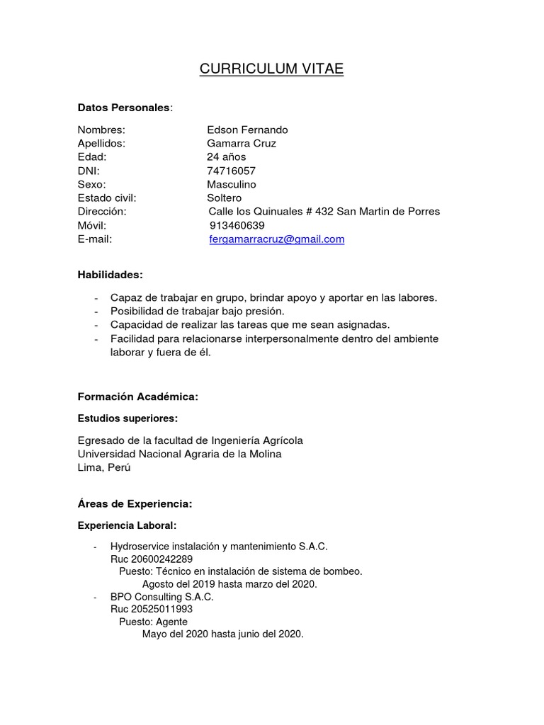 CV Fernando Gamarra | PDF