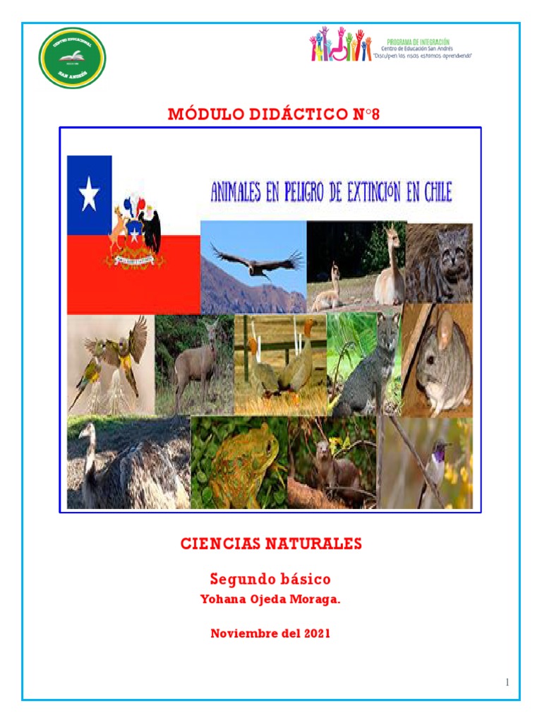 2o Básico Ciencias Módulo 8 | PDF | Los bosques