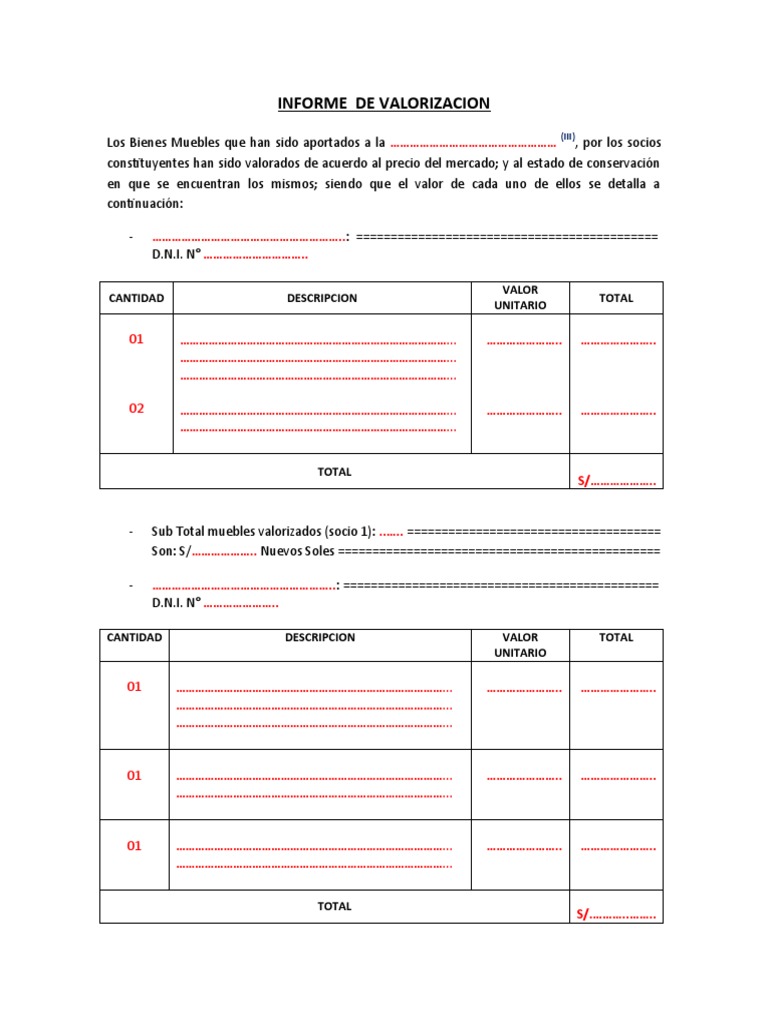 Modelo de Informe de Valorizacion | PDF