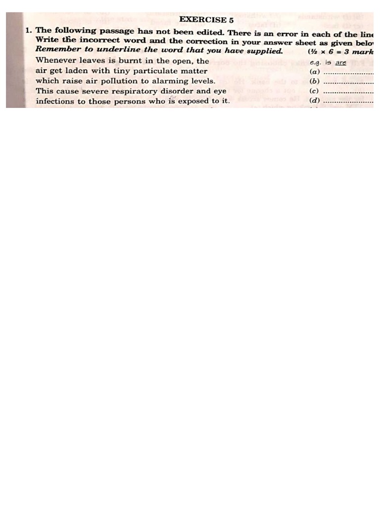 Holiday Homework 2 - Error Correction | PDF
