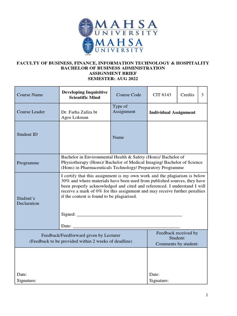 Cit Individual Assignment Guideline | PDF | Career & Growth