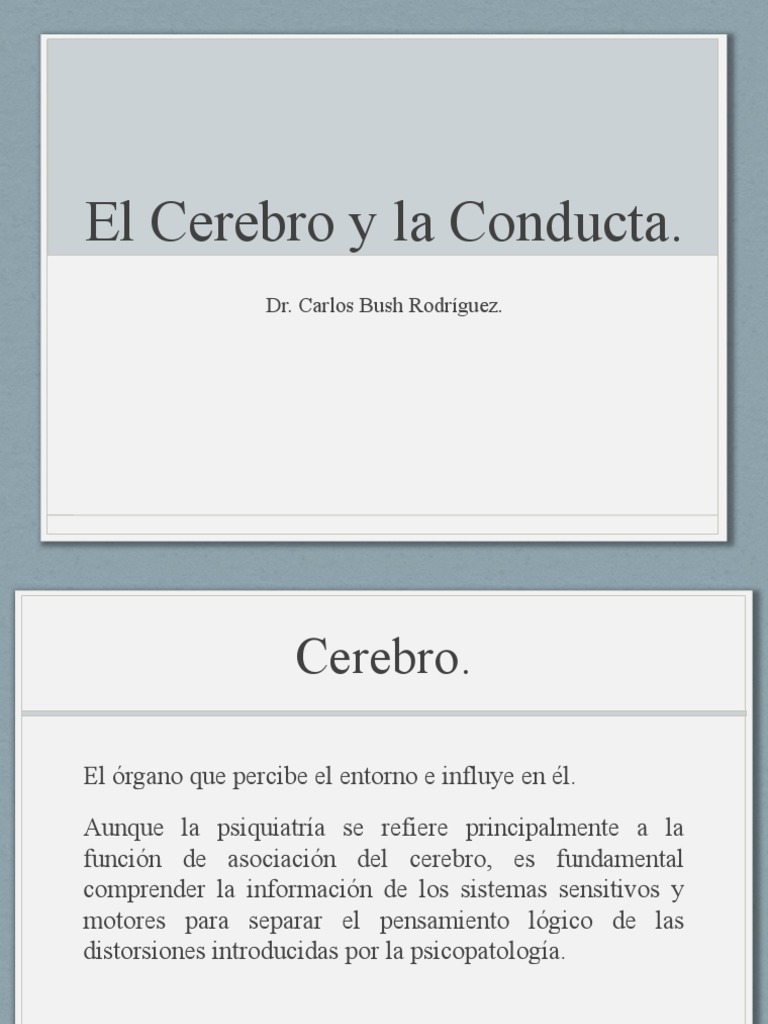 Cerebro y Conducta | PDF | Cerebro | Neurona