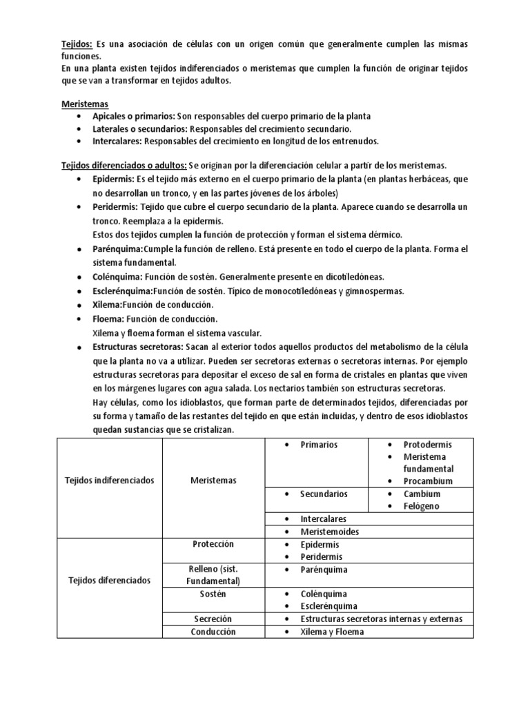 Unidad 06 Tejidos. Meristema | PDF | Tallo de la planta | Raíz