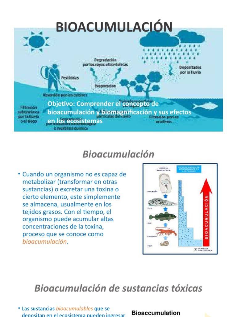 BIOACUMULACIÓN | PDF