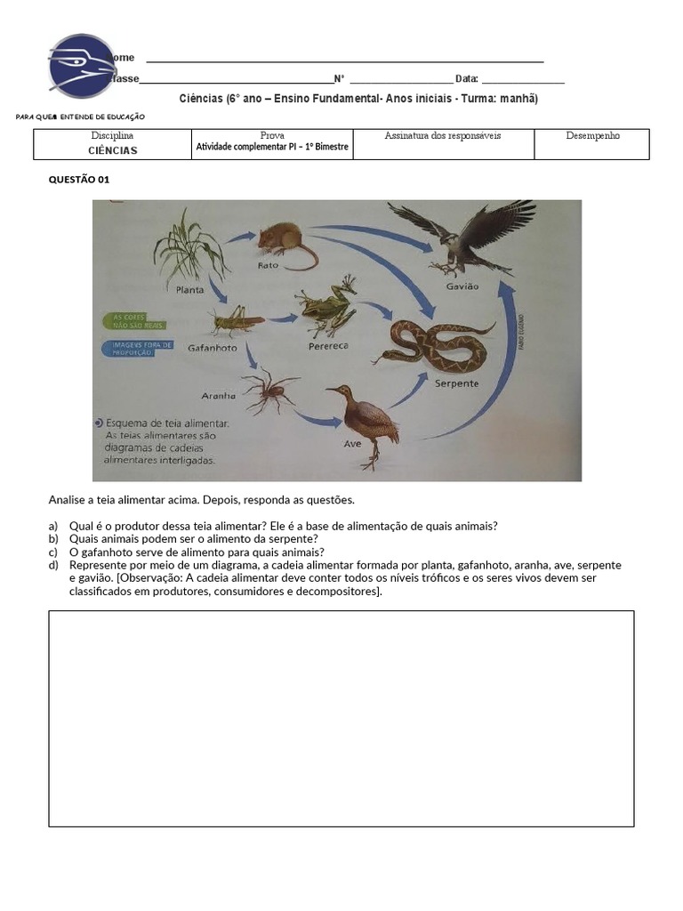 PI 6° Ano - 1° Bimestre Atividade complementar | PDF | Plantas | Food Web