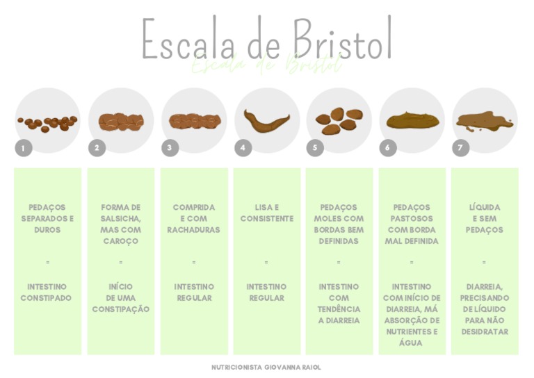 Escala de Bristol: Tipos de Fezes e Saúde | PDF
