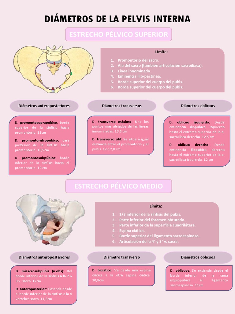 Pelvimetria Interna Y Externa Pdf Pelvis Anatomía Humana