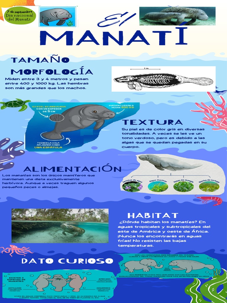 Blue Illustrative Sea Animals Infographic | PDF
