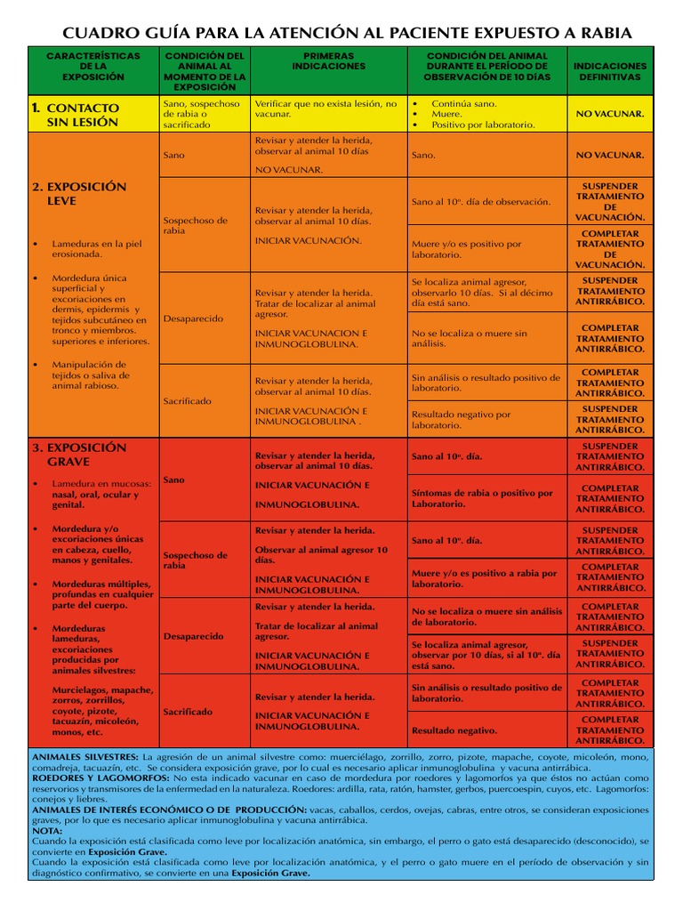 Guia para Atencion A Mordeduras de Perros | PDF | Rabia ...